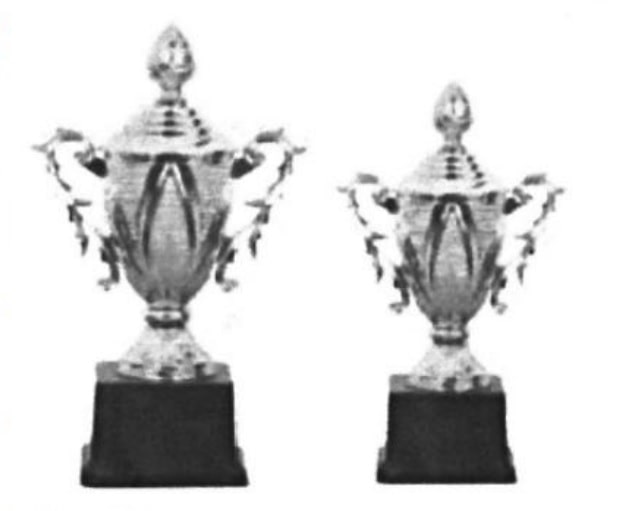 Two schools 'P' and 'Q' decided to award prizes to their students for